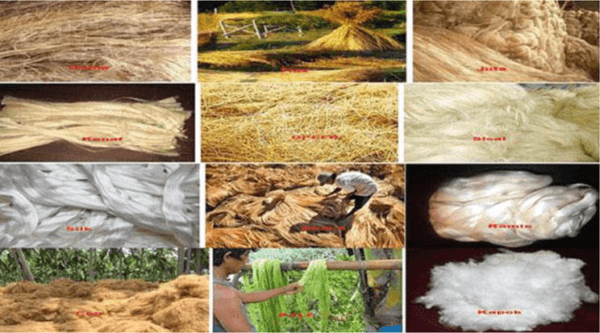 5 Green Composites Trends - Agile Eco-friendly Biodegradable