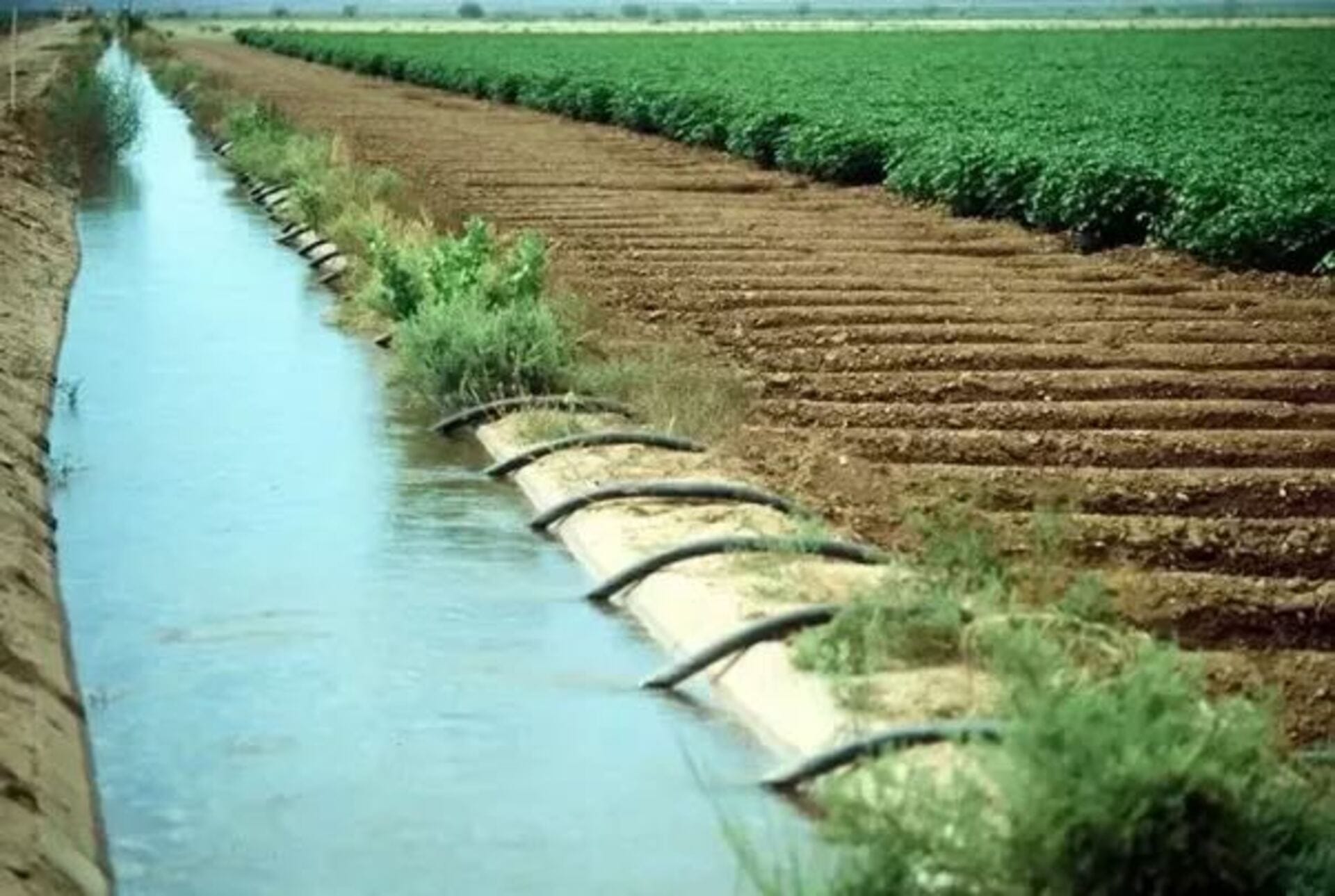 8 Time-Tested Benefits of Canal Irrigation