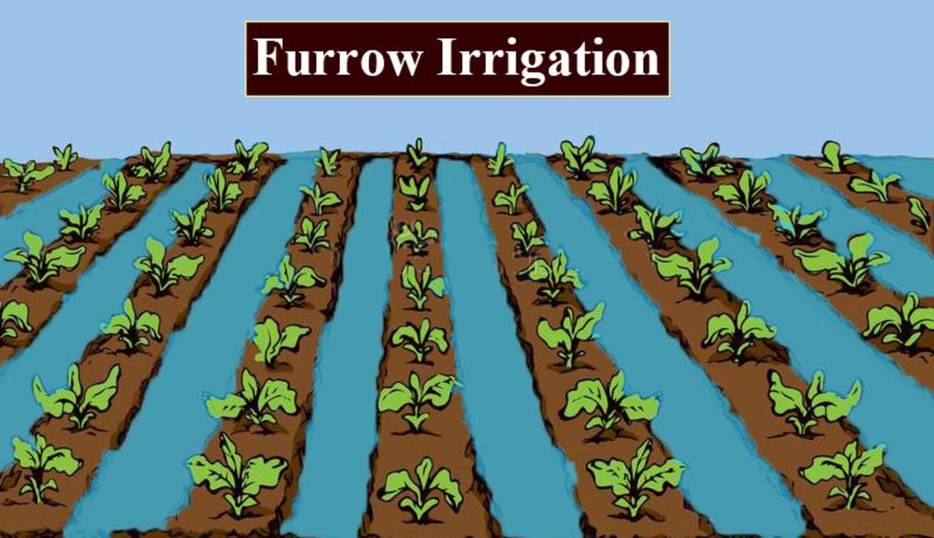 Furrow Irrigation - 9 Complete Details for Farmers