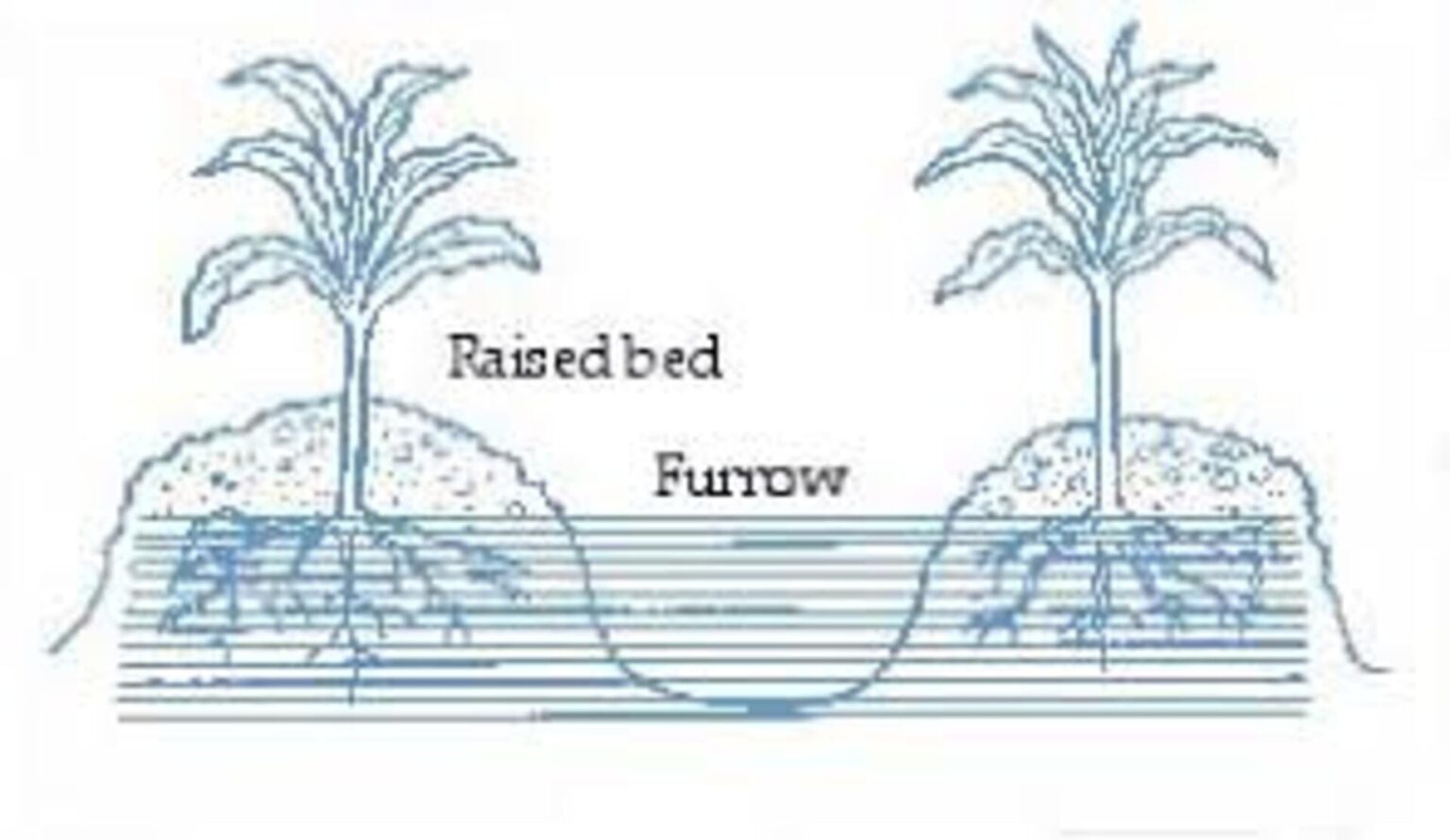 Furrow Irrigation - 9 Complete Details for Farmers